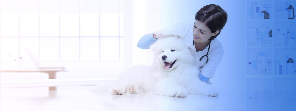 Veterinary Architecture | Varisco Design Build Group