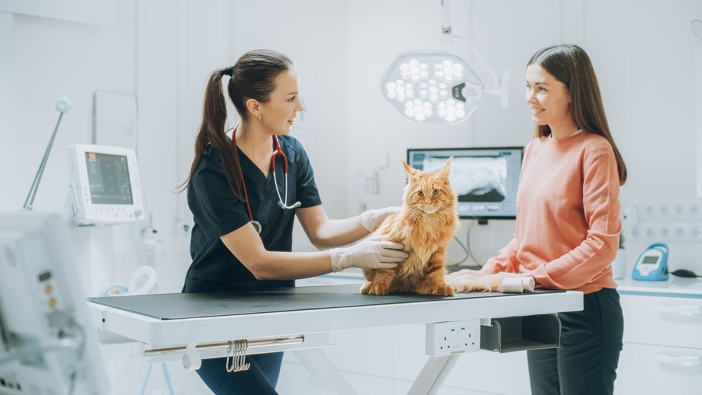 Veterinary Architecture | Varisco Design Build Group
