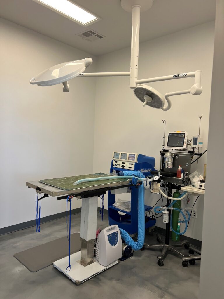12 Essential Elements of Exceptional Veterinary Hospital Design | VDBG