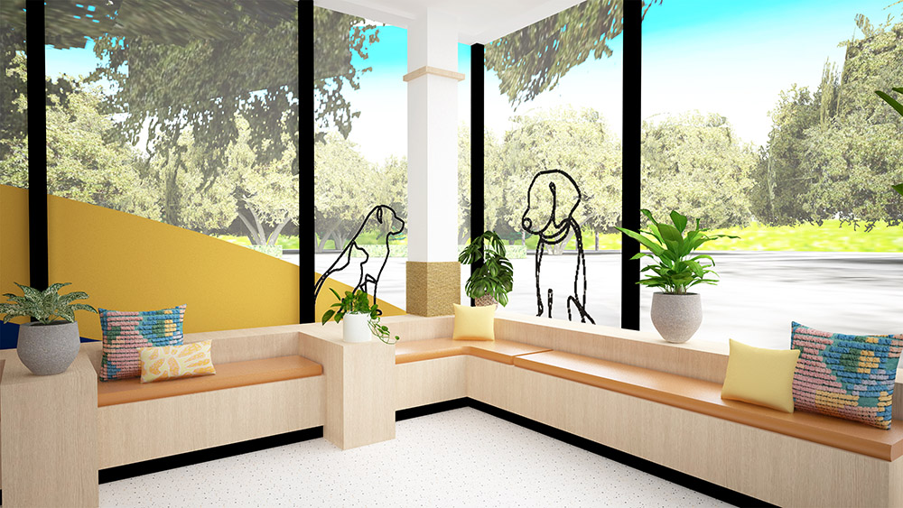 12 Essential Elements of Exceptional Veterinary Hospital Design | VDBG